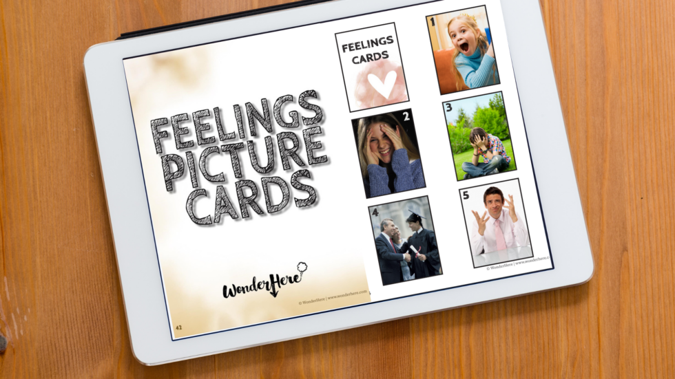 Feelings Picture Cards - WonderHere